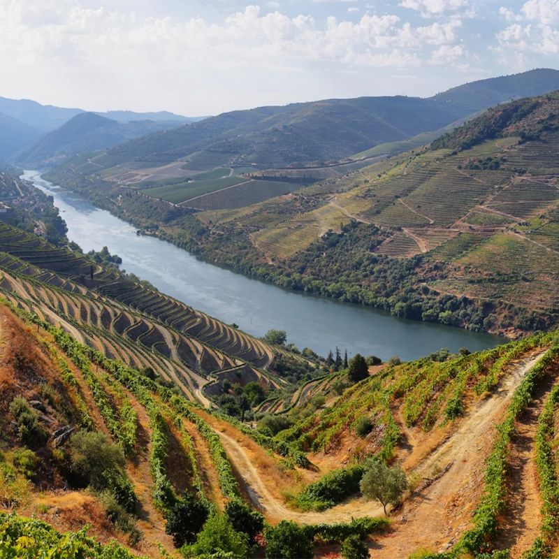 Douro Valley | Rượu Vang Bồ Đào Nha | Chevalier – CHEVALIER